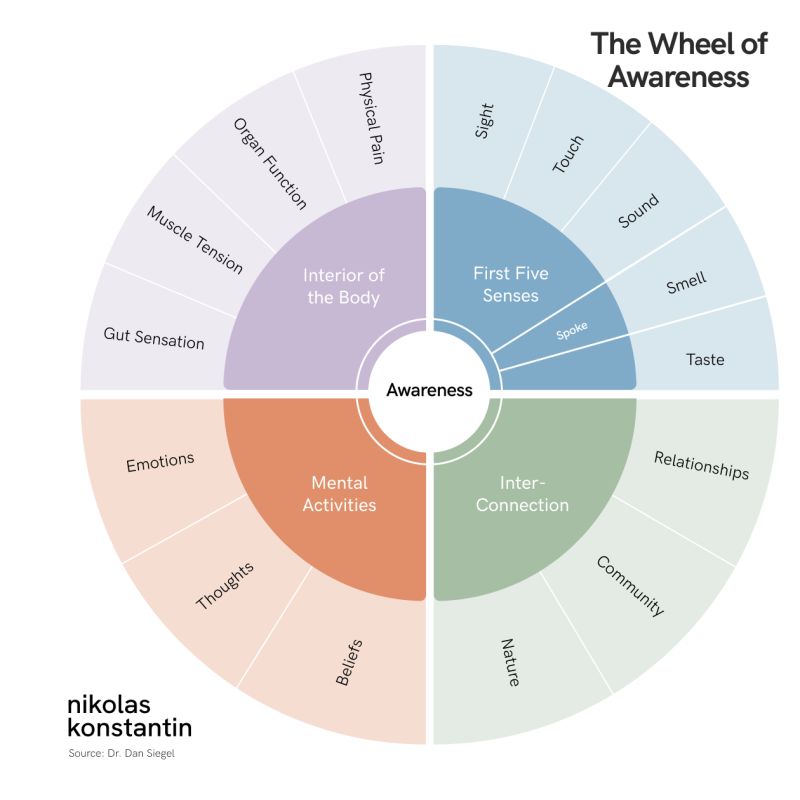 Awareness and Connection